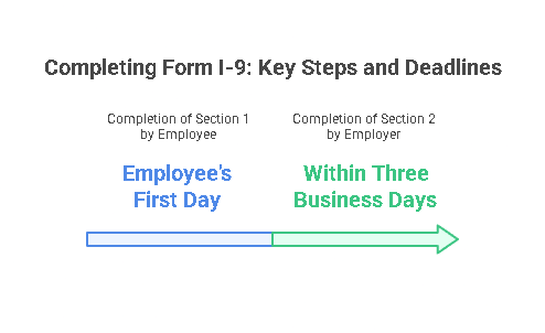 Understanding Form I-9: Employment Eligibility Verification and Compliance - Precise Hire