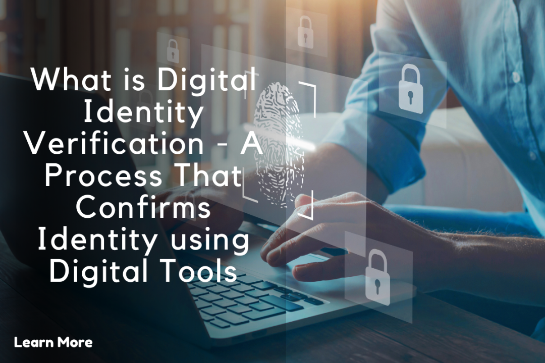 Understanding Digital Identity Verification Benefits - Precise Hire