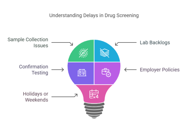 The Timeline of Pre-Employment Drug Screening Explained - Precise Hire