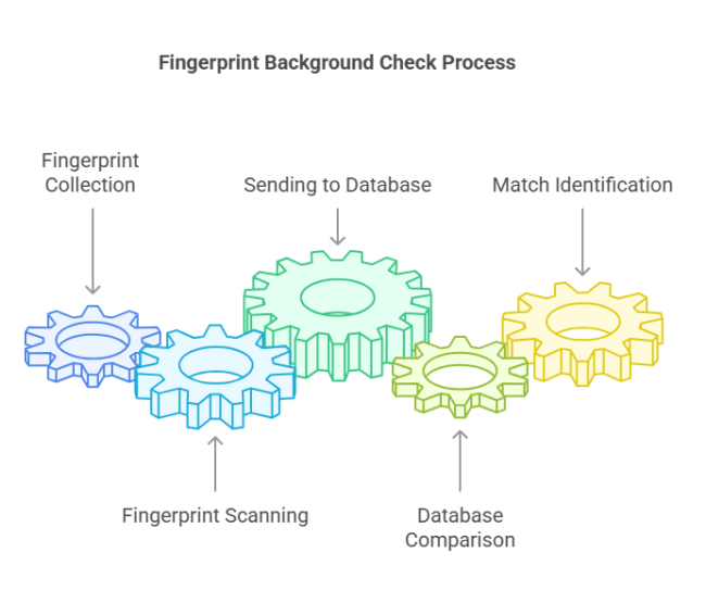 The Timeline of Fingerprint Background Checks Explained - Precise Hire