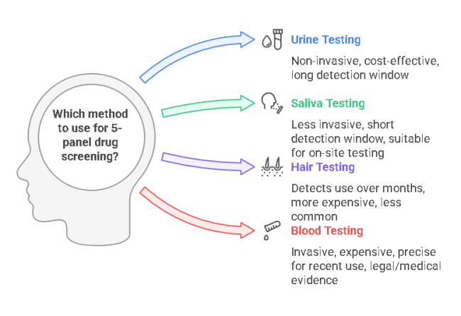 Everything You Need to Know About 5-Panel Drug Screening - Precise Hire