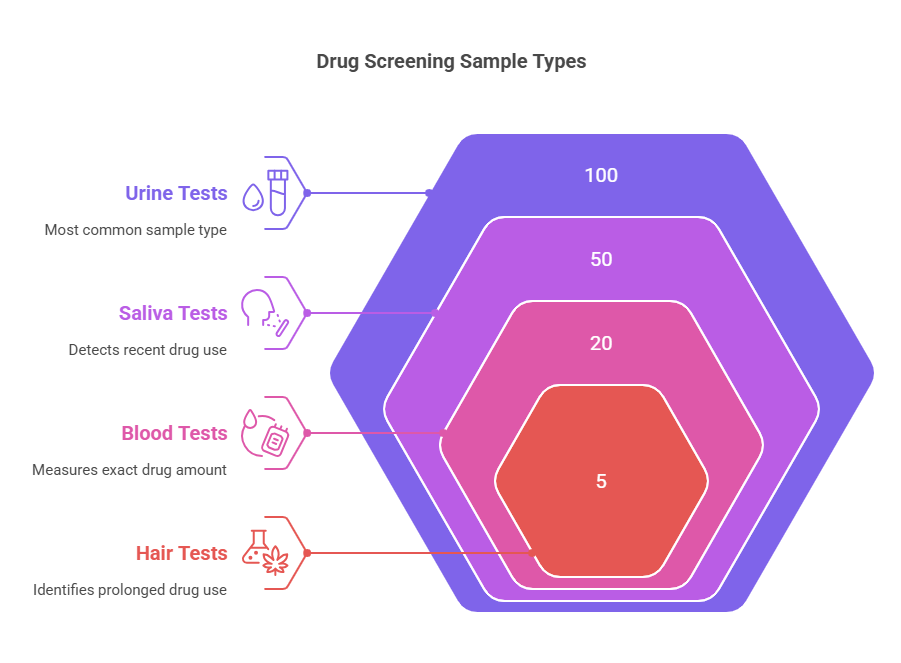 Key Facts About 4 Panel Drug Screen - Precise Hire