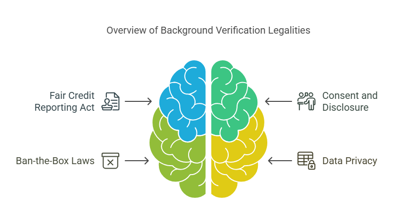How to Perform Background Verification for Hiring - Precise Hire