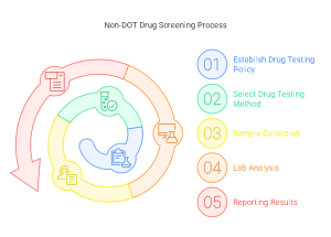 Non-DOT Drug Screening Explained: Key Differences, Benefits, and Legal ...