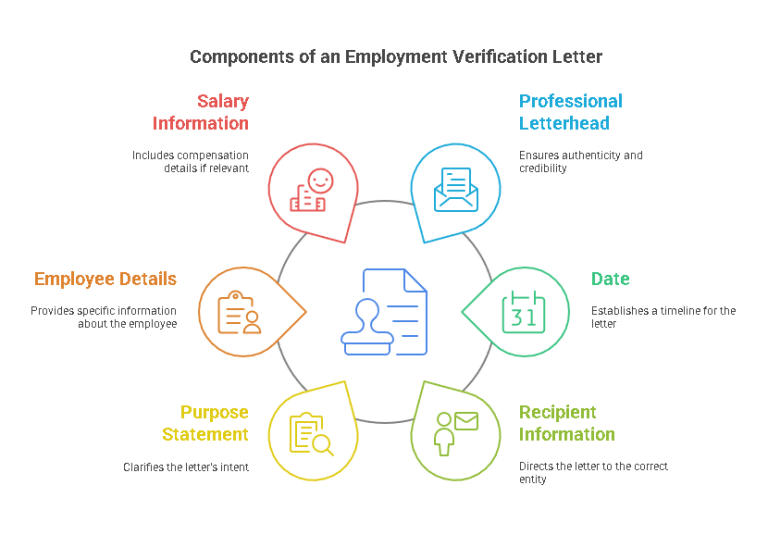 Everything You Need to Know About Employment Verification Letters - Precise Hire