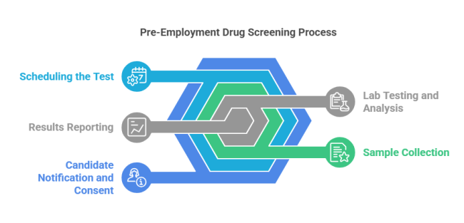 The Timeline of Pre-Employment Drug Screening Explained - Precise Hire