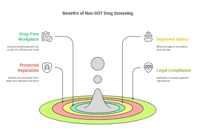 Non-DOT Drug Screening Explained: Key Differences, Benefits, and Legal ...