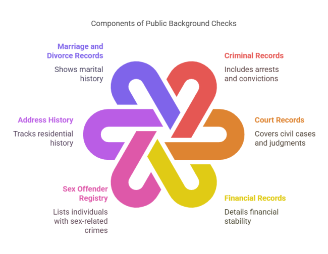 What Is a Public Background Check? A Complete Guide - Precise Hire