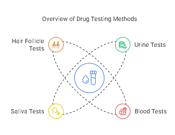 Drug Screening Result Times Factors, Process, and Legal Insights - Precise Hire