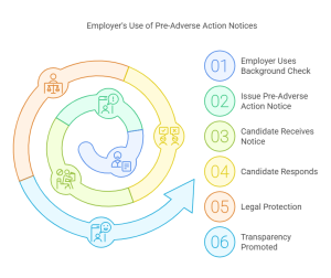 Guidelines for Creating a Pre-Adverse Action Notice - Precise Hire